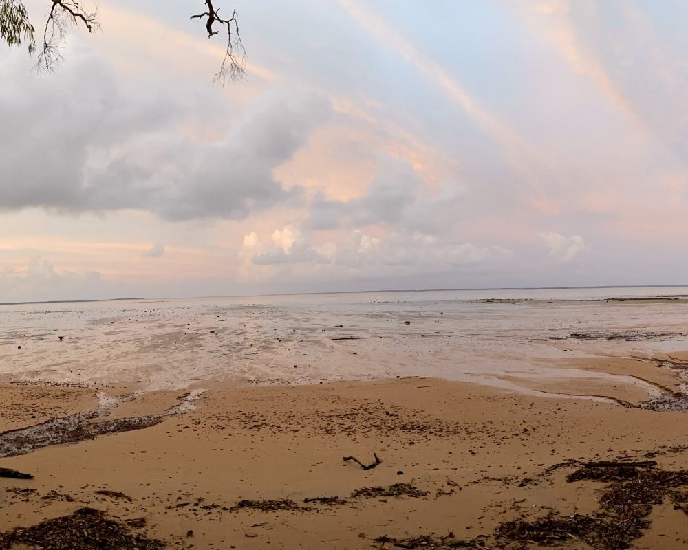 CEQ Stores - IBIS - Community Enterprise Queensland